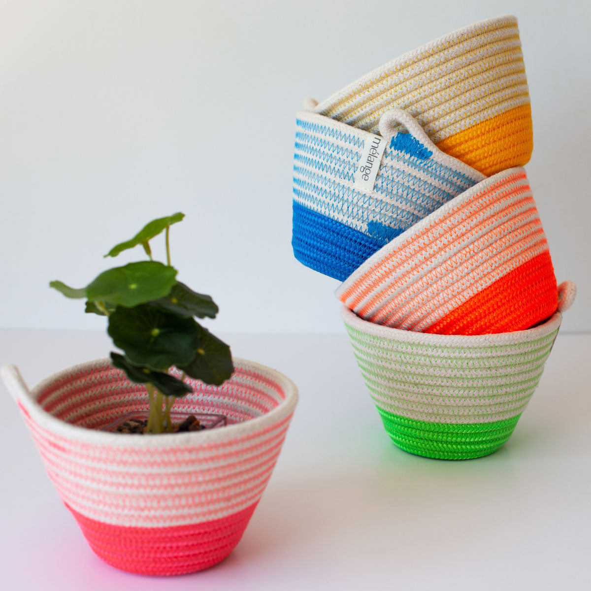 Petite Planter - Neon – Mia Mélange